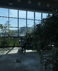 Liselott Stenfeldt - Gehl